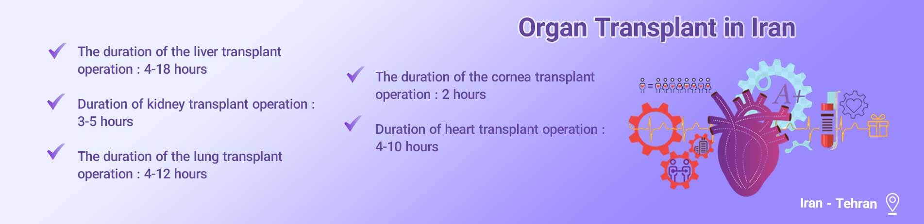 Organ Transplantation in Iran: Top Hospitals & Specialists
