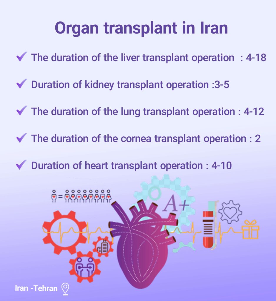 Organ Transplantation in Iran: Top Hospitals & Specialists